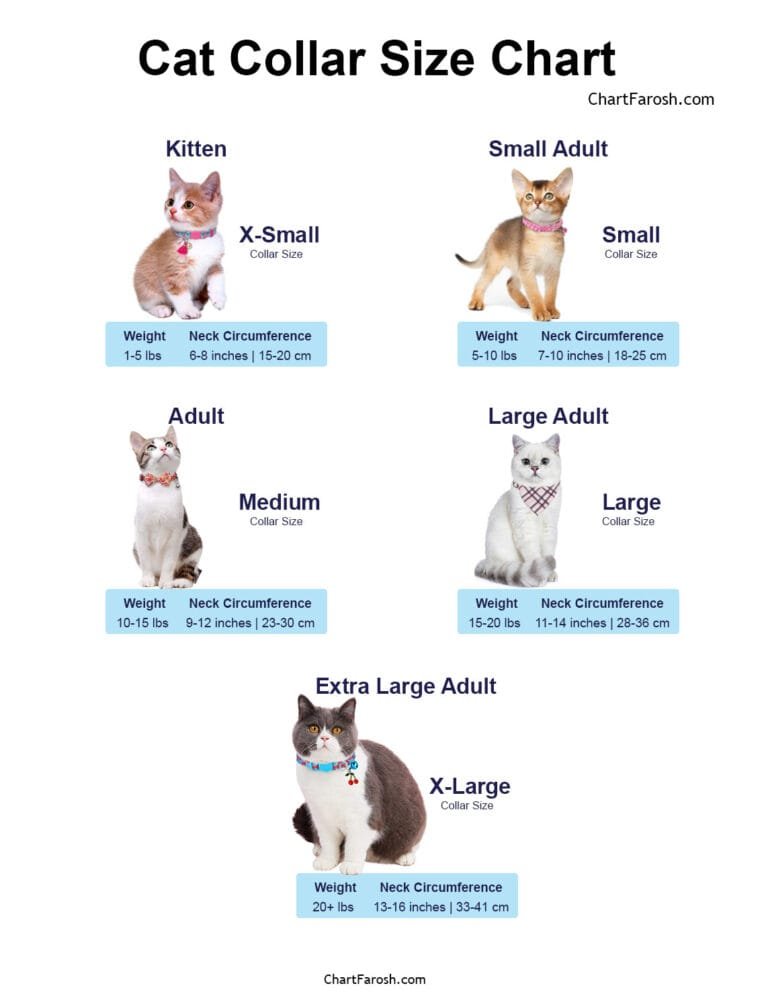 Cat Collar Size Chart By Age, Weight and Circumference in cm and Inches