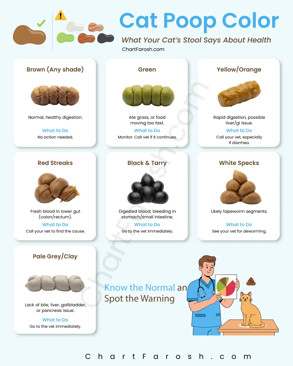 Cat Poop Color Chart with Meanings: What Your Cat's Stool Tells You