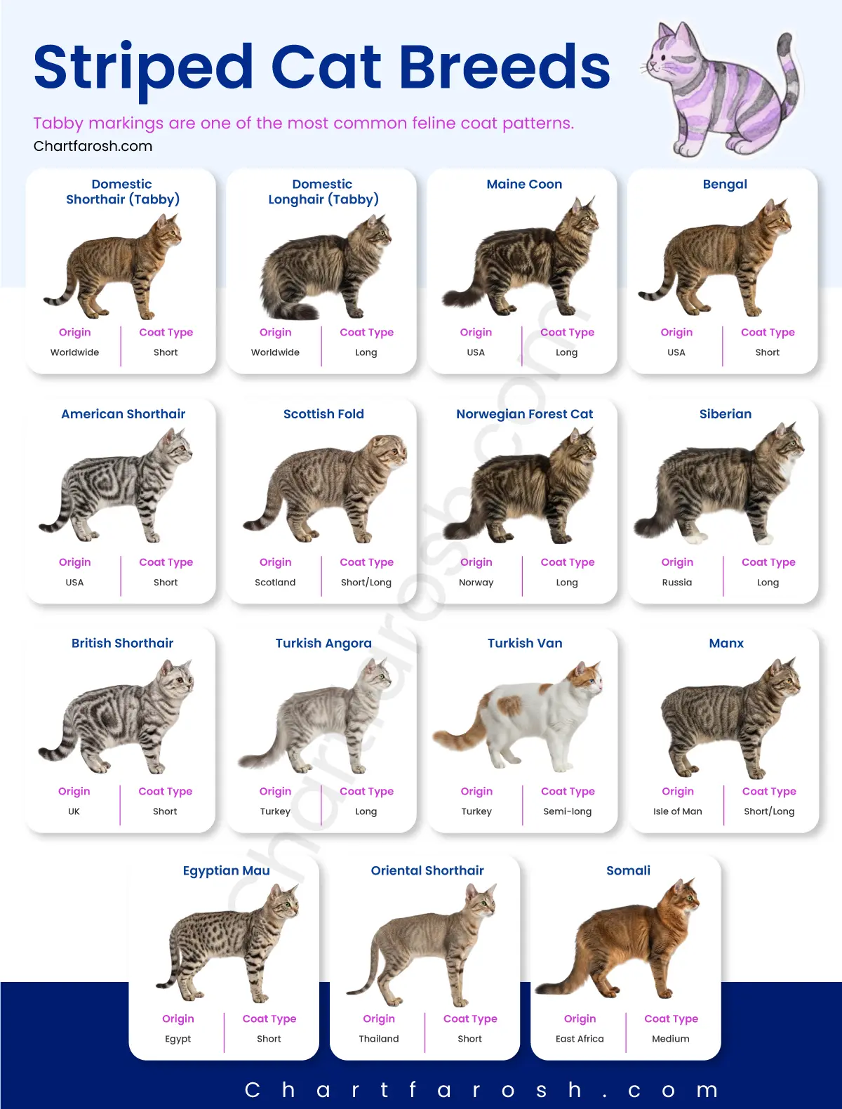 Striped Cat Breeds: Complete Guide with Pictures & Patterns